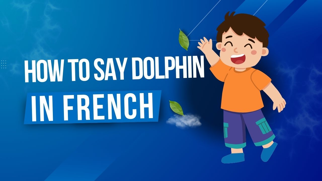How To Say Dolphin In French
