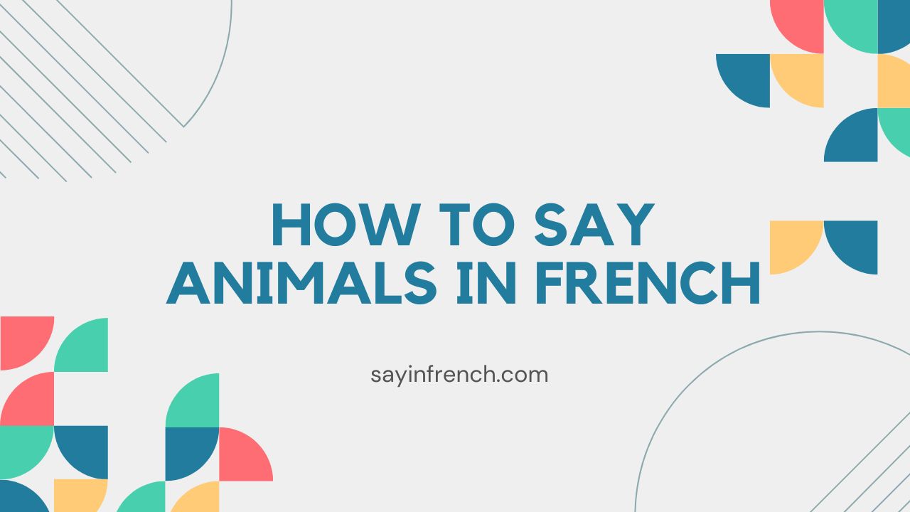 How To Say Animals In French